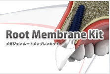 ｜株式会社メガジェンジャパン｜歯科用インプラント・関連機材ならお任せ下さい